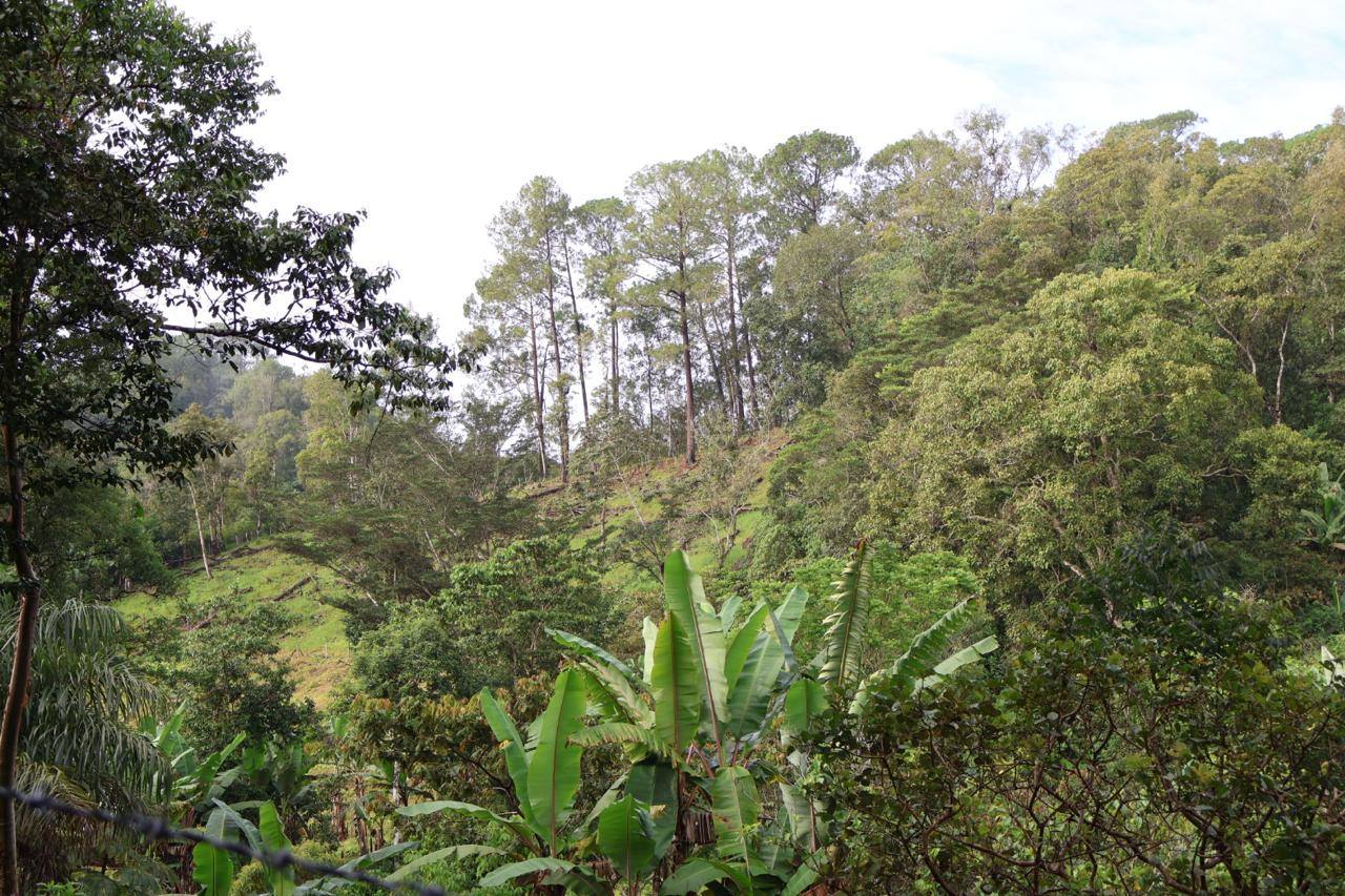 Impulsan el Turismo de Naturaleza en la Sierra de Atoyac - H ...