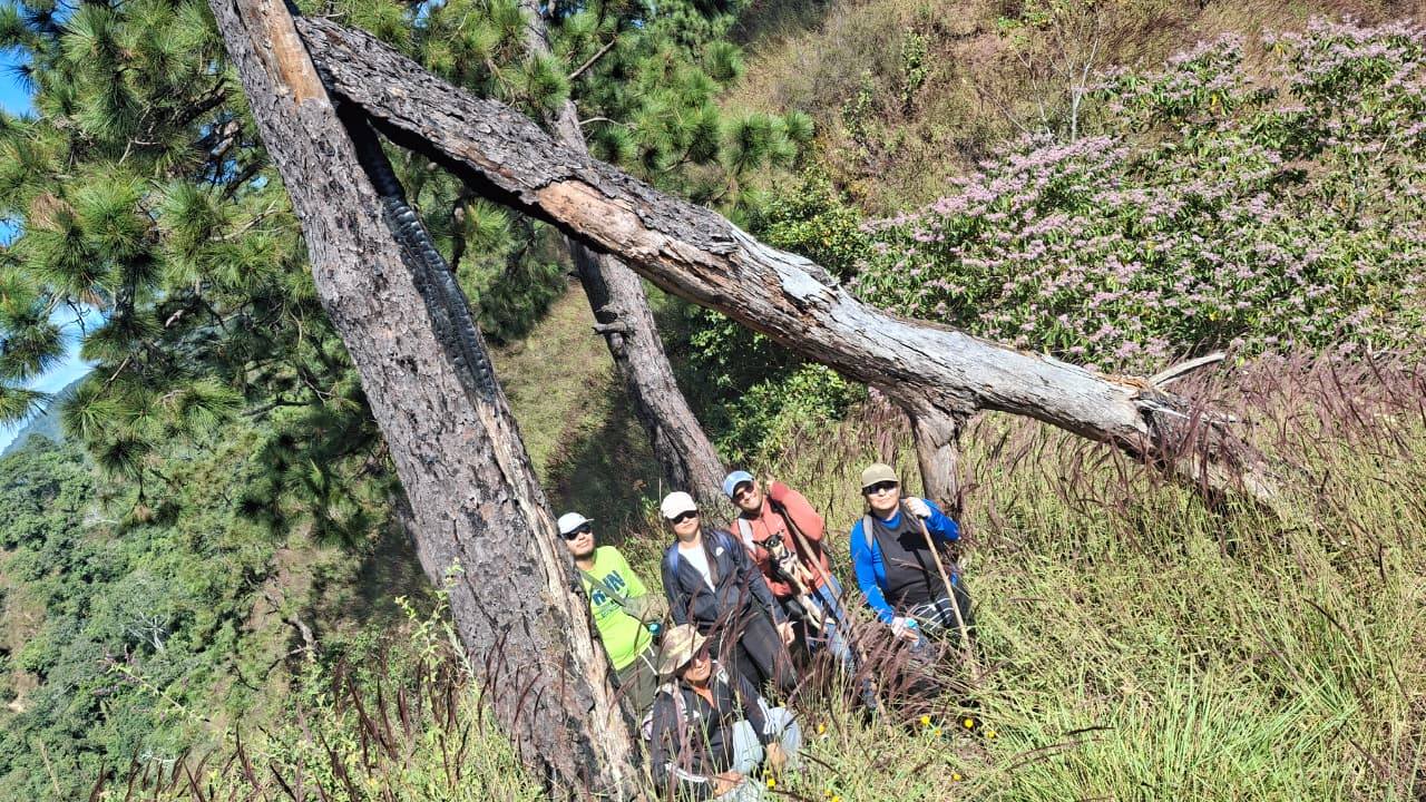 Atoyac impulsa el turismo de naturaleza con nueva ruta al Cerro Cabeza ...